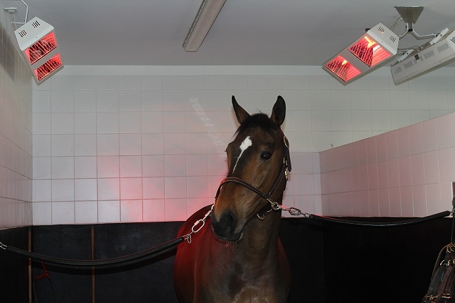 Bienvenue sur le site de A CHEVAL